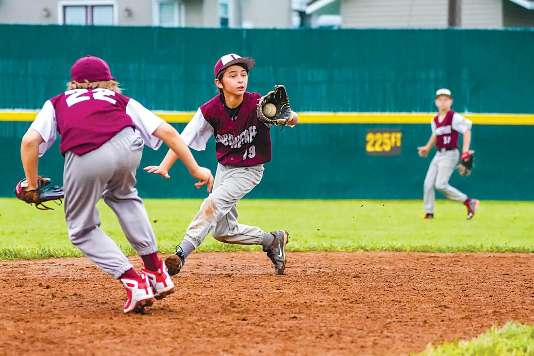 Area youth baseball roundup | News, Sports, Jobs - Altoona Mirror Area youth baseball roundup | News, Sports, Jobs - Altoona Mirror